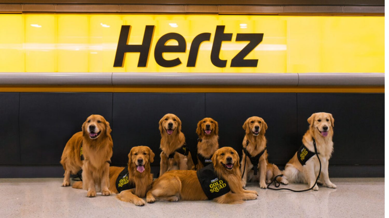 Hertz Launches Gold Squad to Boost Loyalty Program