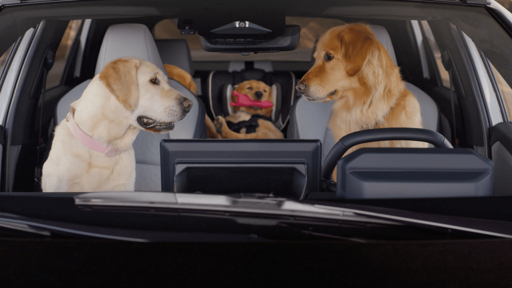 The Subaru Barkley family is back on (and off) the road in new “Dog ...